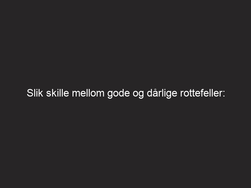 Slik skille mellom gode og dårlige rottefeller: En uunnværlig guide ...